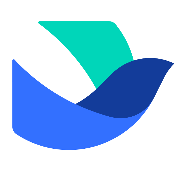 AI Companion user manual